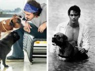 Top 10 Bollywood Stars with their Pet Dogs - Glitzyworld